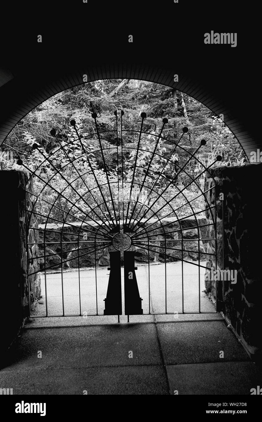 Gate plants hi-res stock photography and images - Alamy