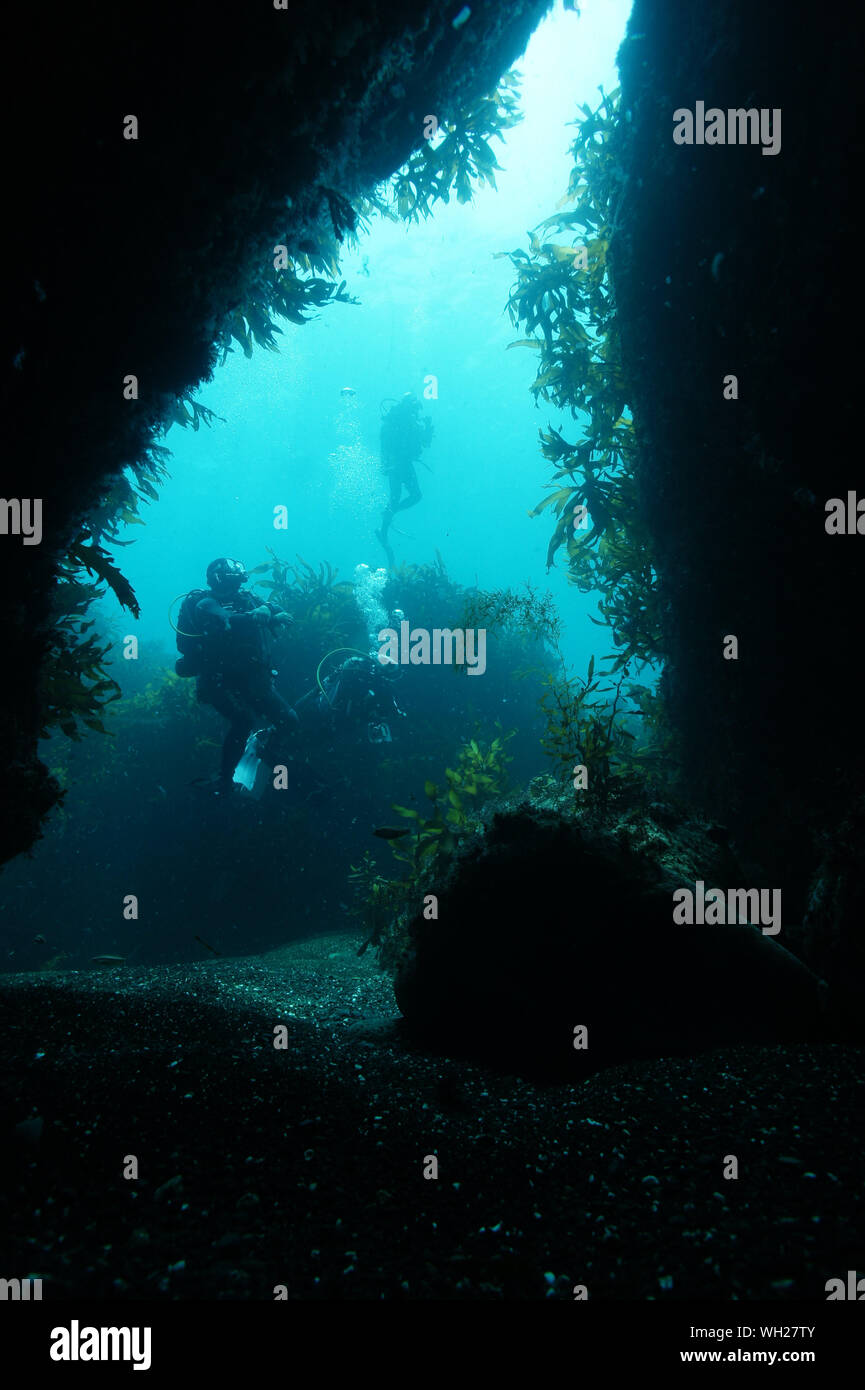 Exploring sea hi-res stock photography and images - Alamy