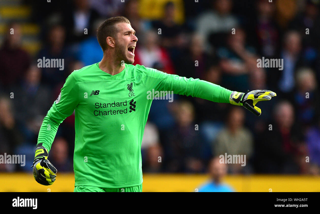 Liverpool goalkeeper Adrian during the Premier League match at Turf ...