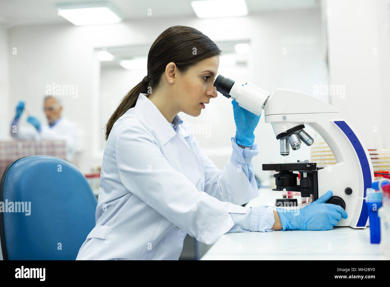 Concentrated young pharmacist working in research laboratory Stock ...