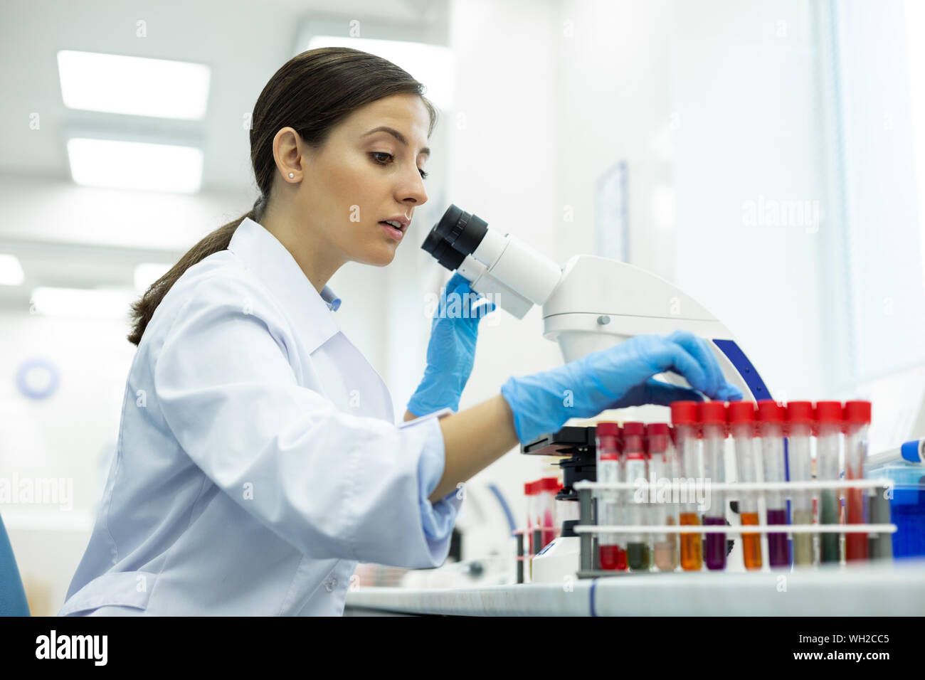 Attentive young microbiologist taking test tube from support Stock ...