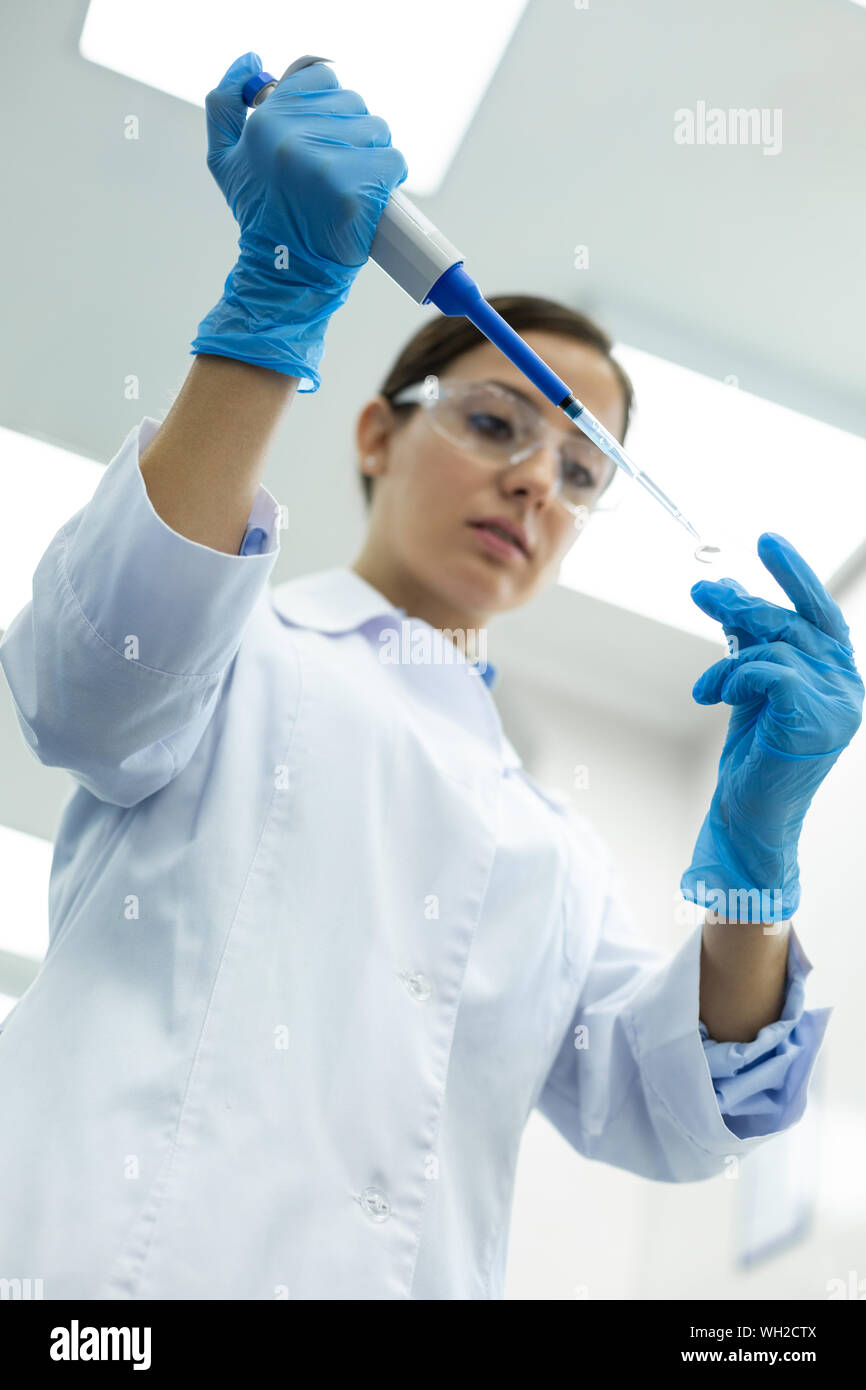 Low angle photo of attentive scientist that checking analysis Stock ...