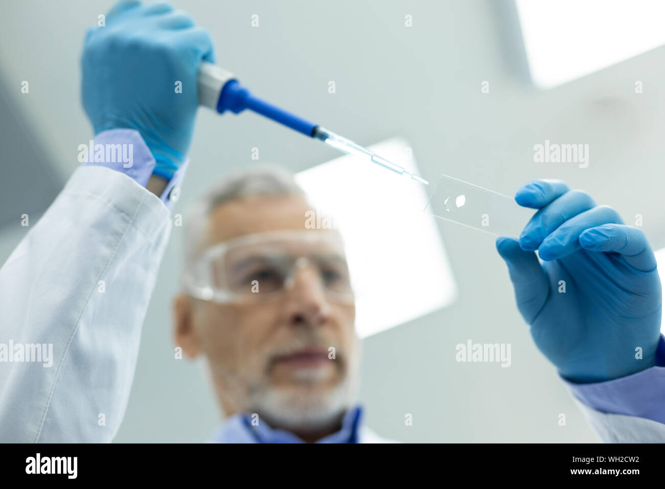 Close up of medical worker that checking DNA Stock Photo - Alamy