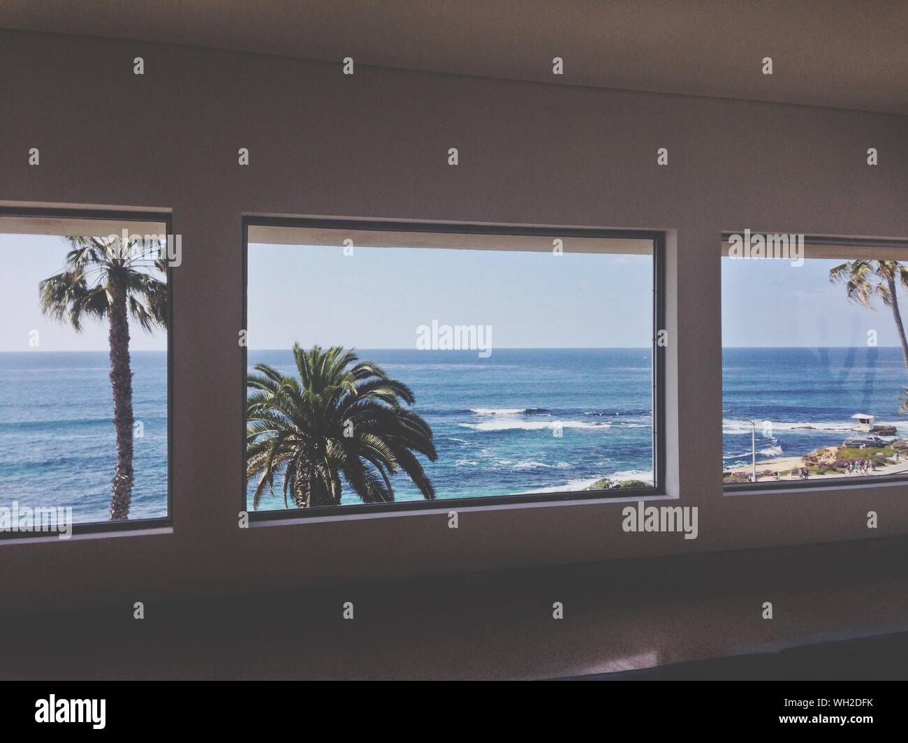 Ocean view palm trees hi-res stock photography and images - Alamy