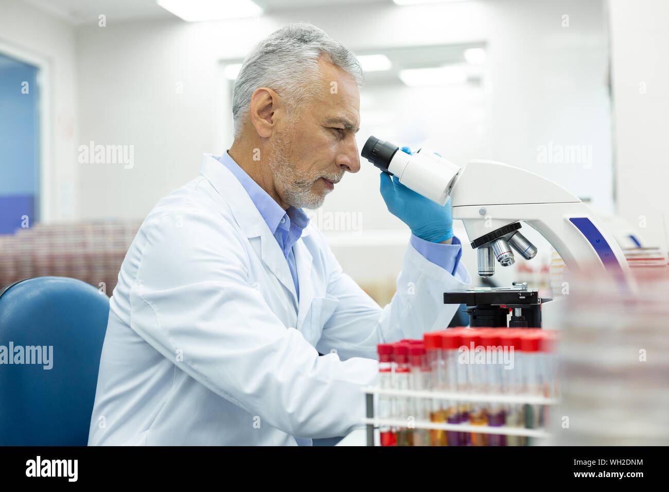 Serious mature male person looking at microscope Stock Photo - Alamy