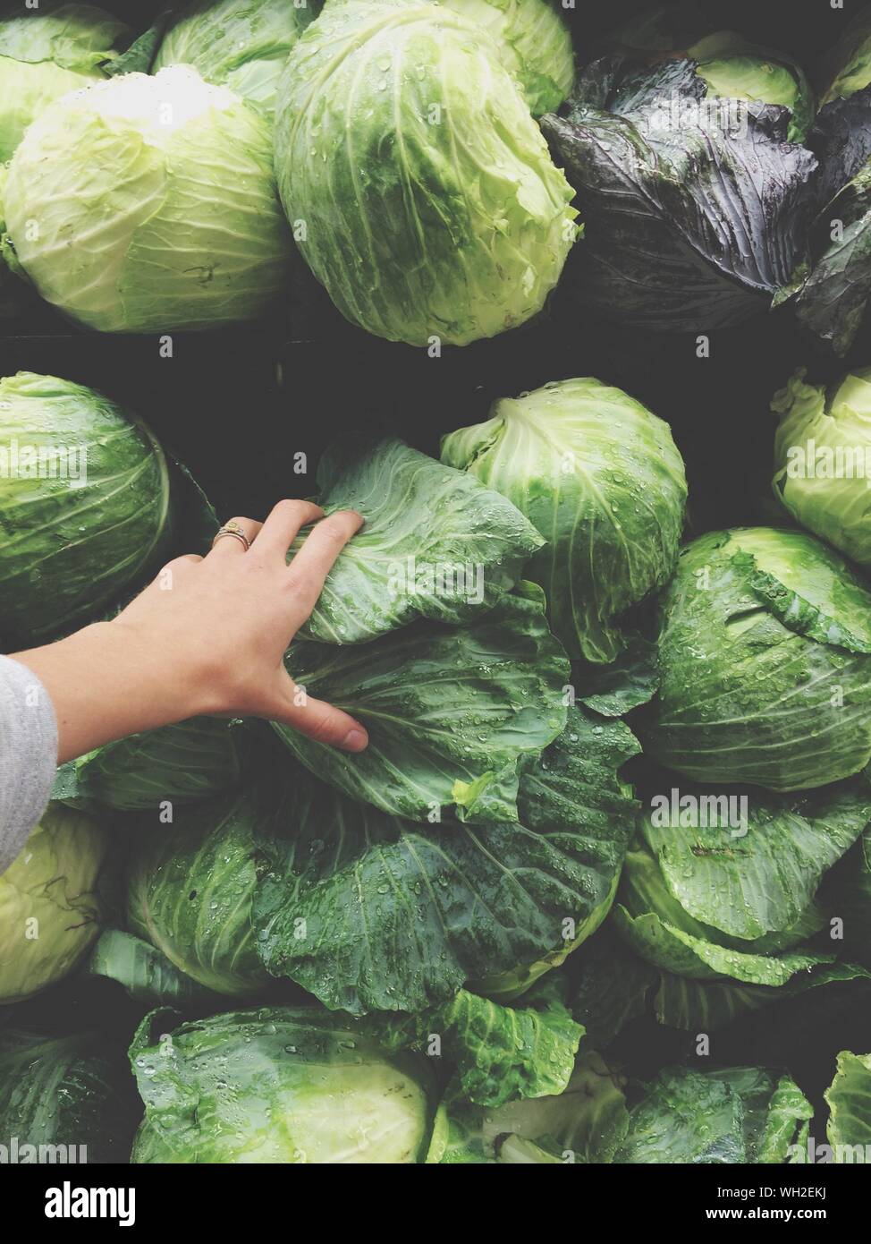 Hand holding vegetables hi-res stock photography and images - Alamy