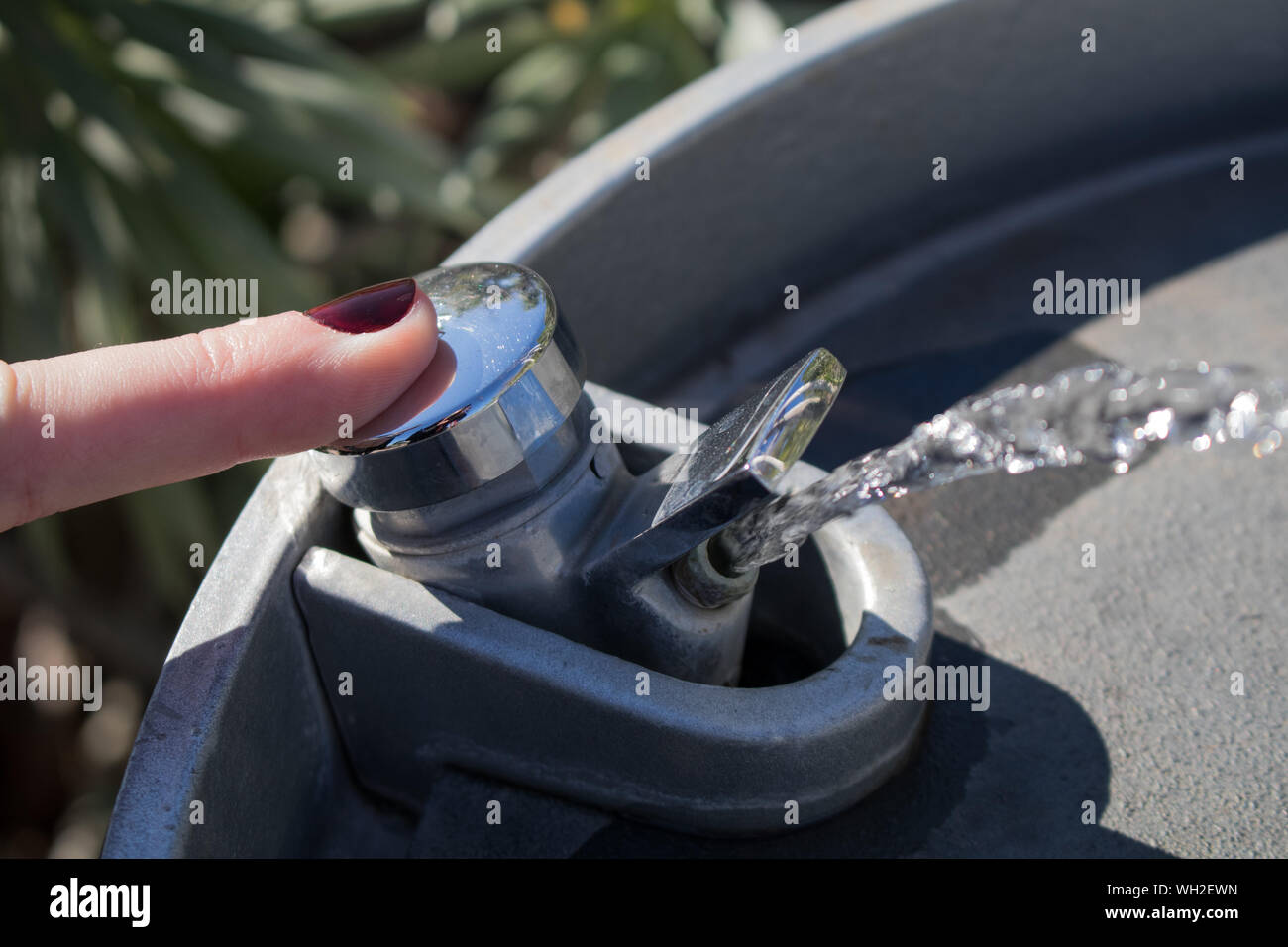 Close-up Of Woman Pressing Faucet Of Drinking Fountain Stock Photo - Alamy