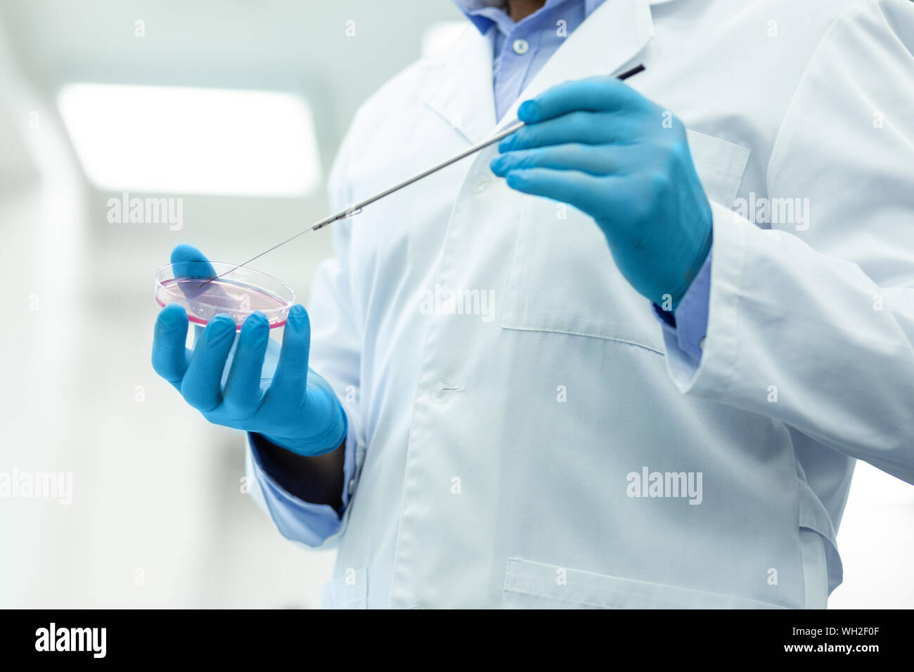Close up of male hands that doing chemical experiment Stock Photo - Alamy