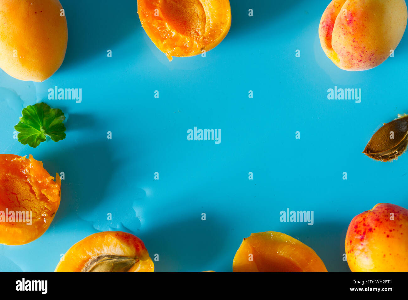 ripe apricots on the blue background. natural light Stock Photo - Alamy