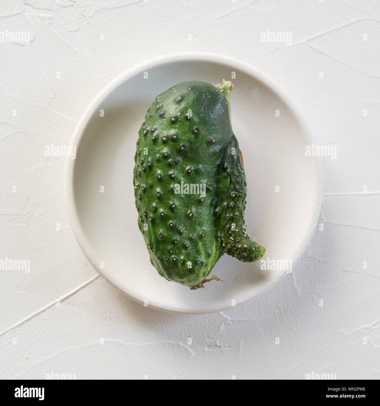 Ugly organic abnormal cucumber on white concrete table. Concept organic ...