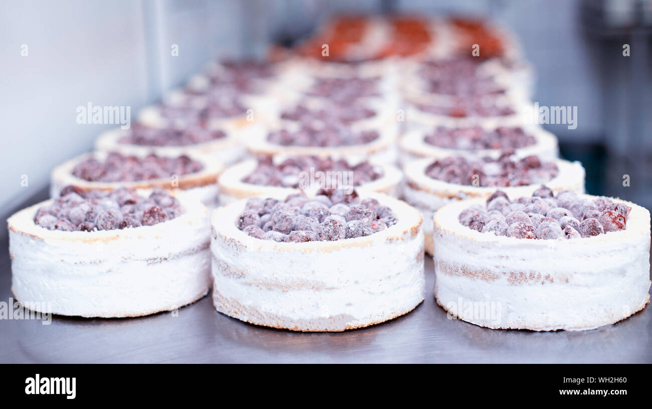 Confectionery production for the manufacture of sponge cakes with fresh ...