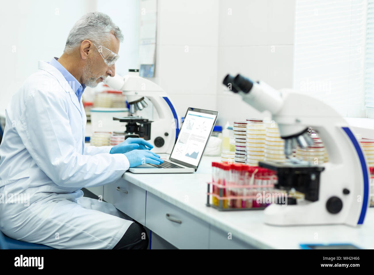 Concentrated mature researcher working at his project Stock Photo - Alamy