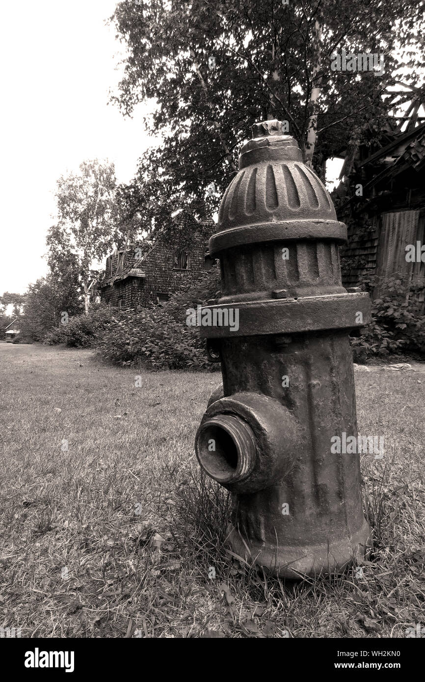 Fire hydrant with tree hi-res stock photography and images - Alamy