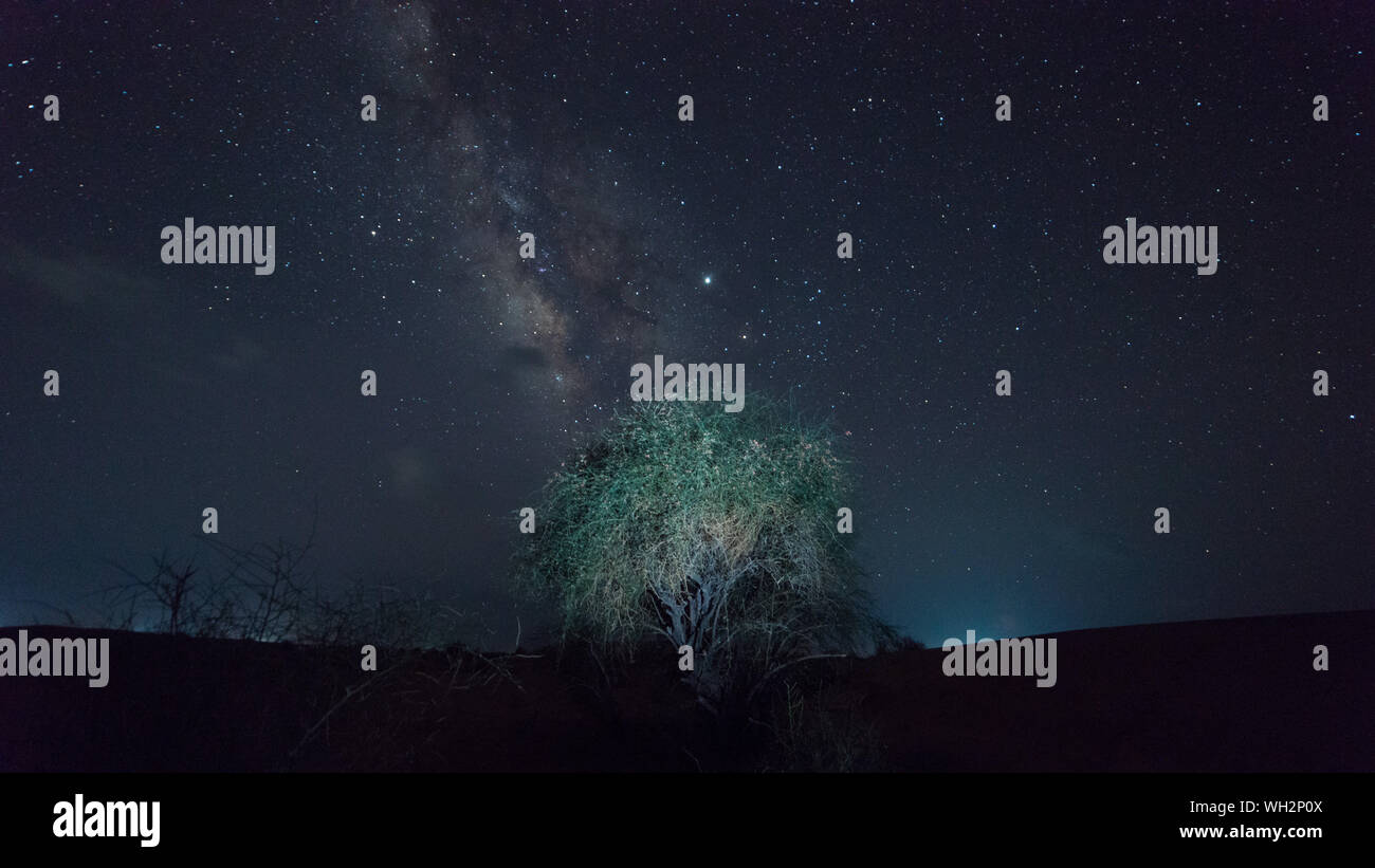 A picture of the milkyway galaxy in thar desert over tree Stock Photo ...