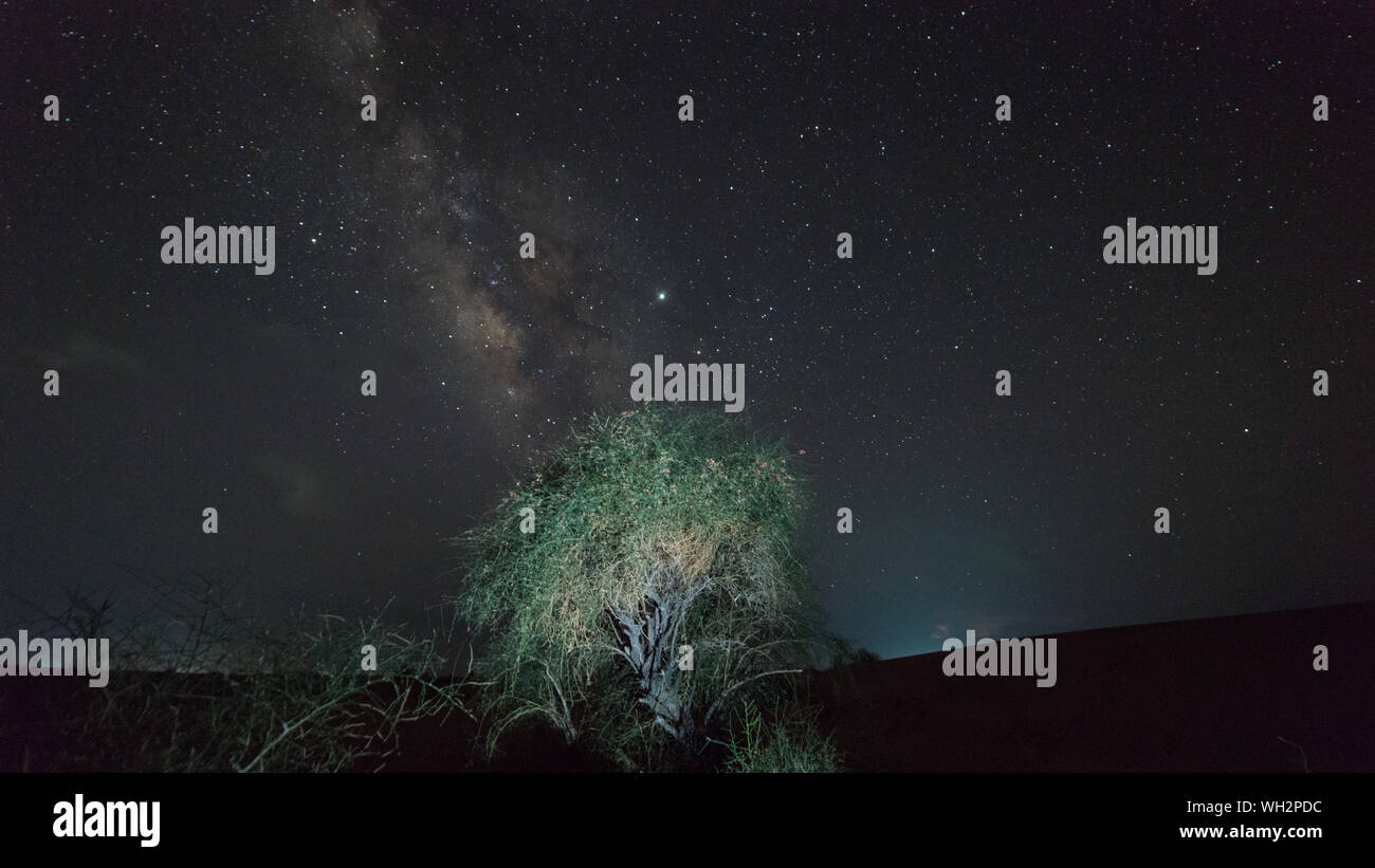 A picture of the milkyway galaxy in thar desert over tree Stock Photo ...