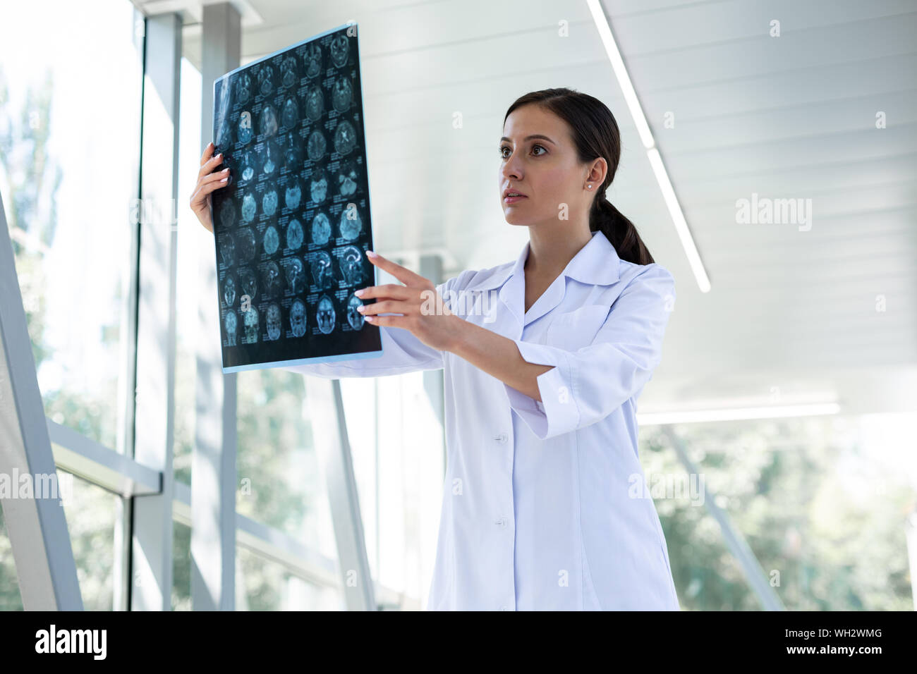 Concentrated brunette female person doing medical expertise Stock Photo ...