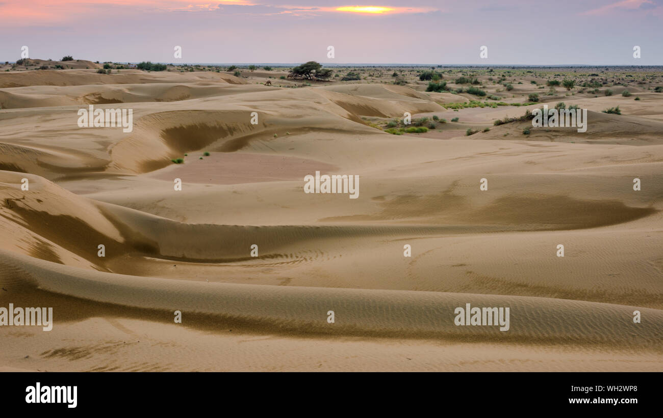 Sunset in Thar desert Rajasthan in India Stock Photo - Alamy