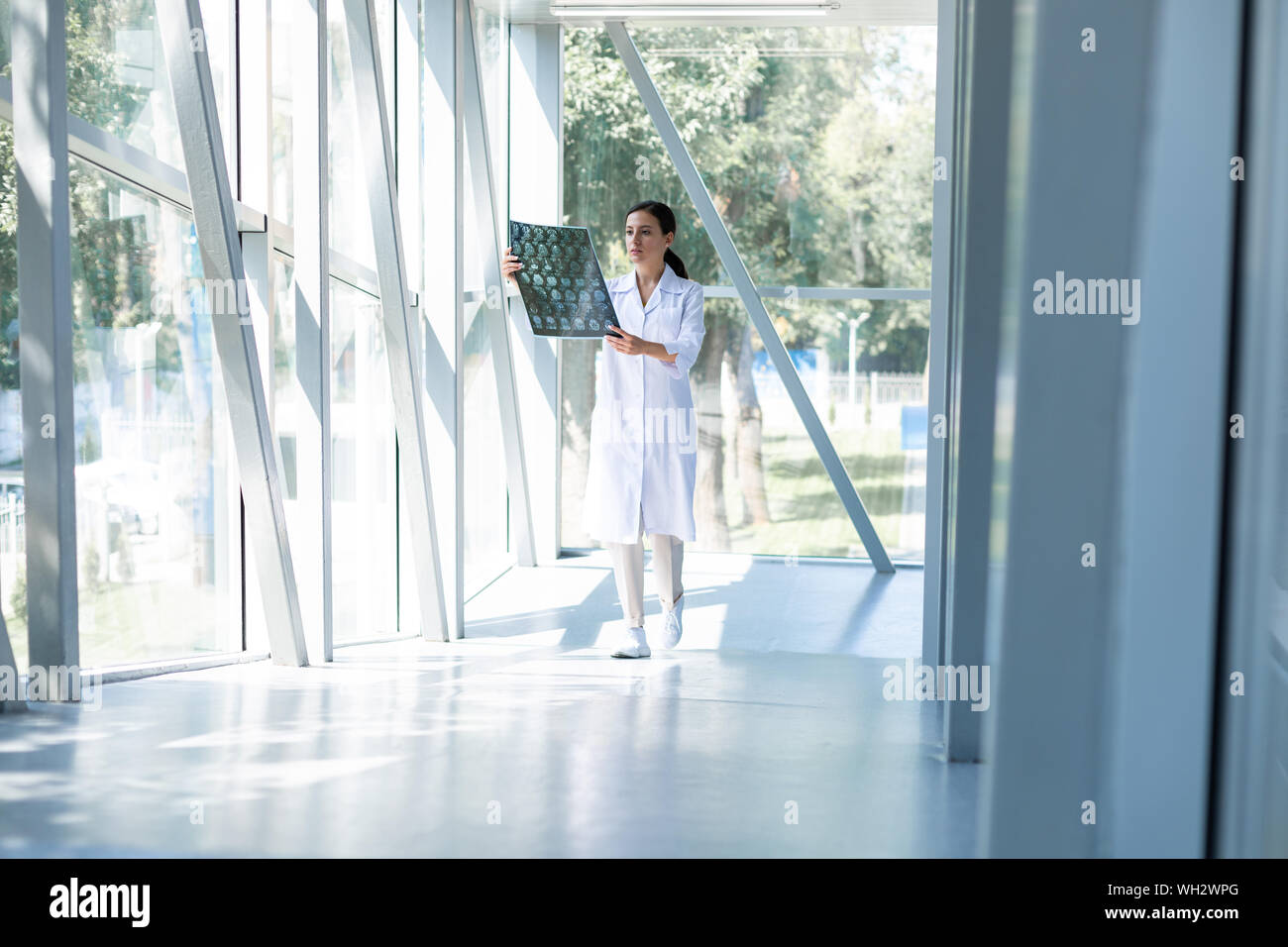 Roentgen laboratory hi-res stock photography and images - Alamy