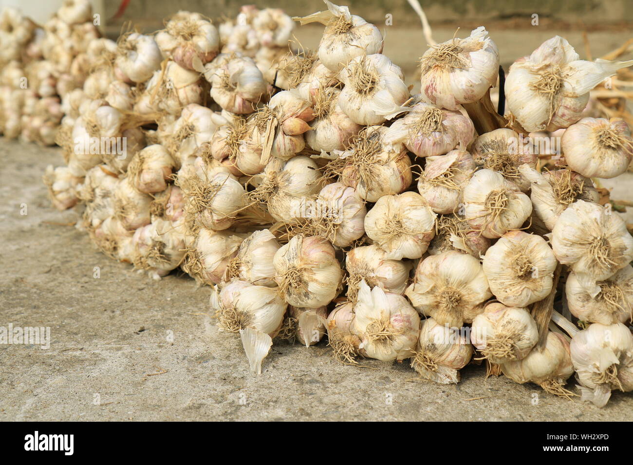 Stack Of Garlic At Market Stock Photo - Alamy