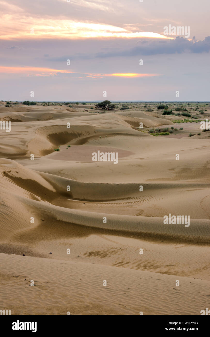 Sunset in Thar desert in rajasthan in India Stock Photo - Alamy