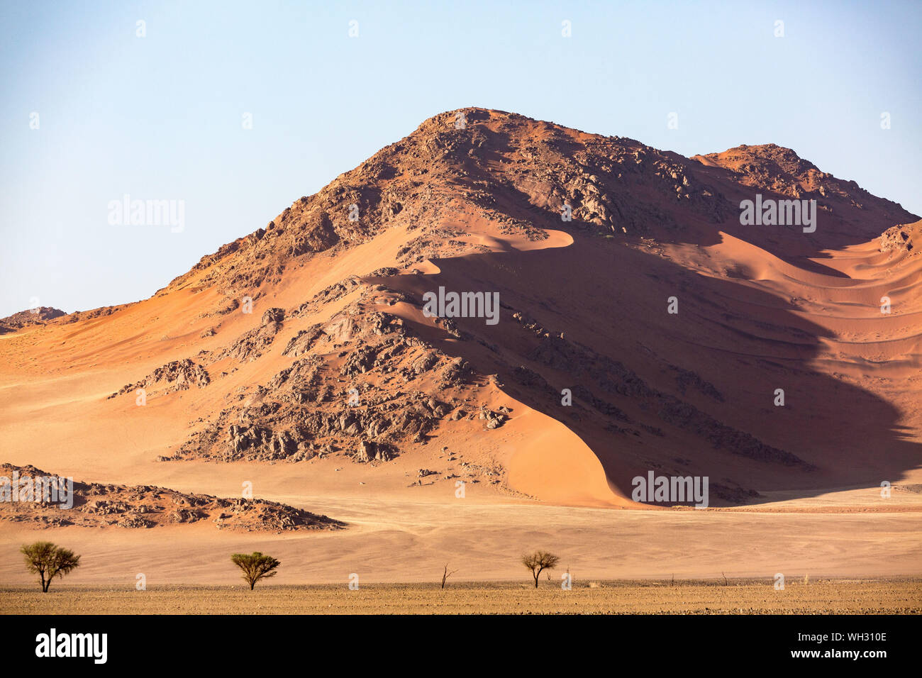 Namib desert sand rocks hi-res stock photography and images - Alamy