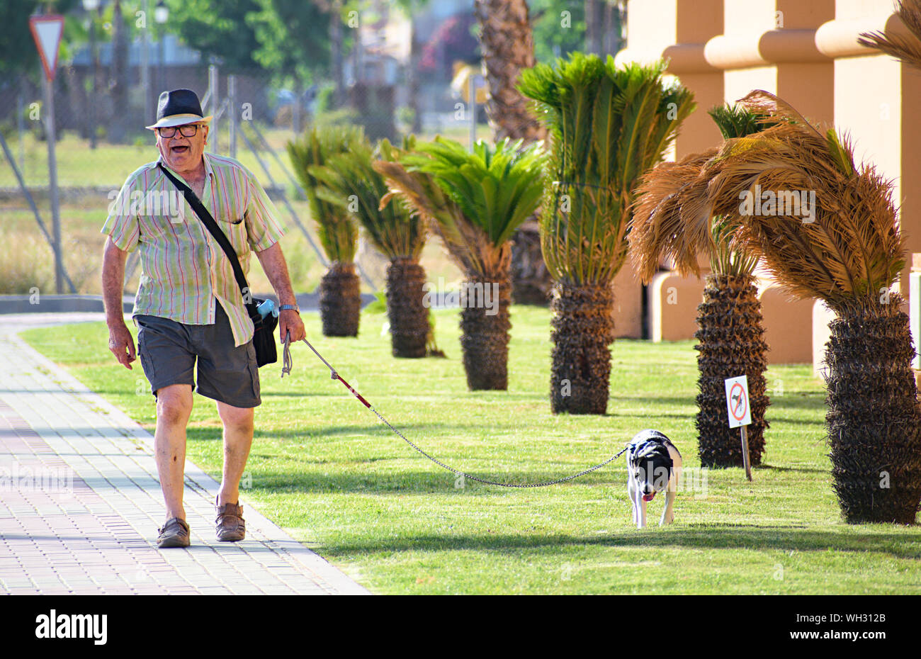 Old man walking dog hi-res stock photography and images - Alamy