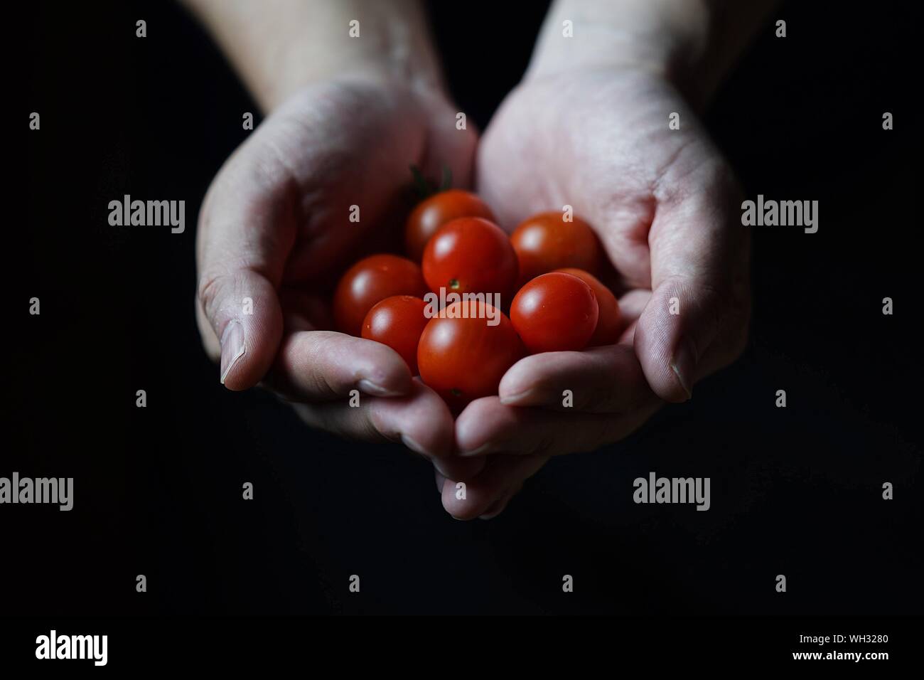 Hands holding tomatoes hi-res stock photography and images - Alamy