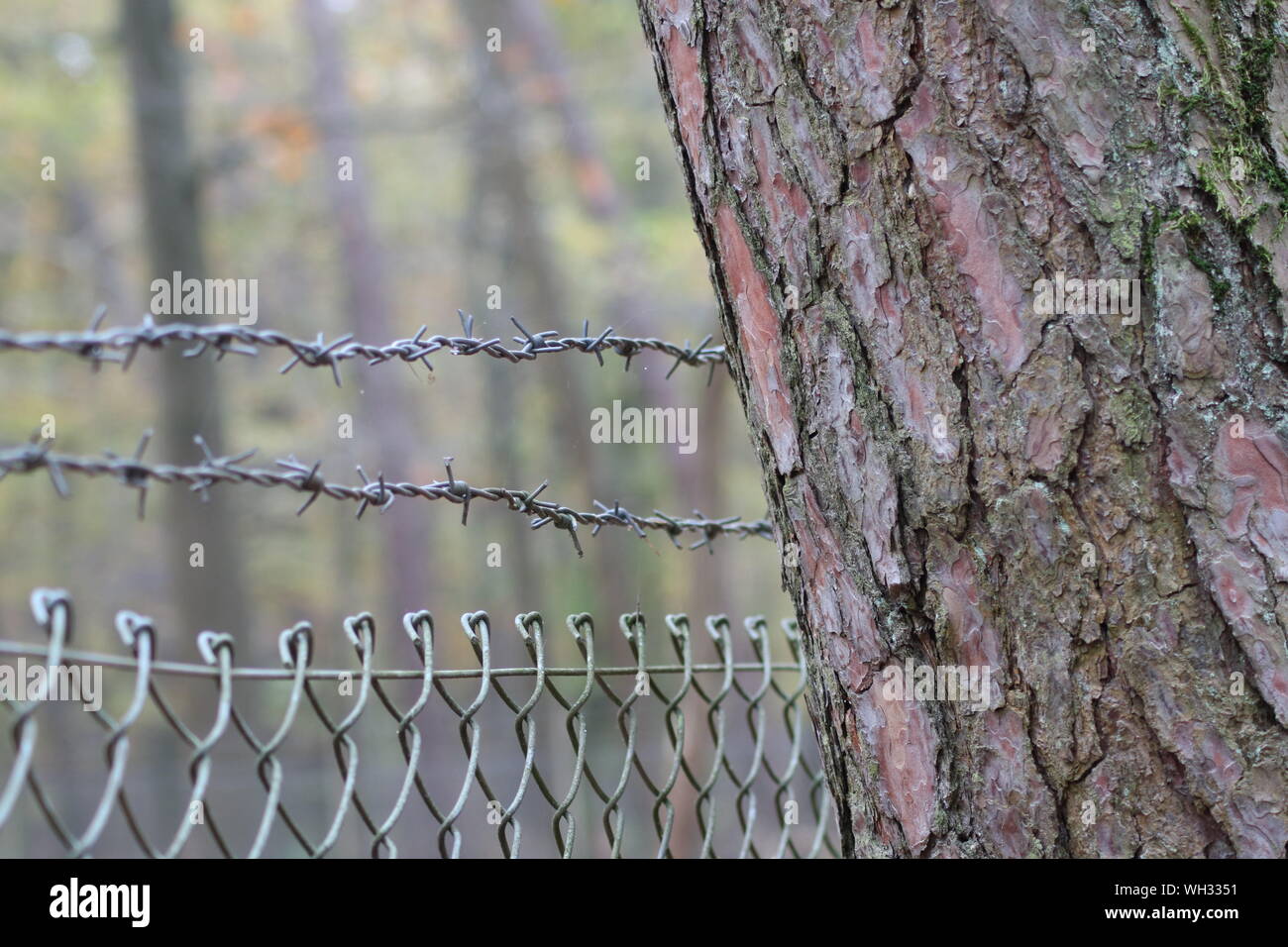 Tree trunk fence hi-res stock photography and images - Alamy