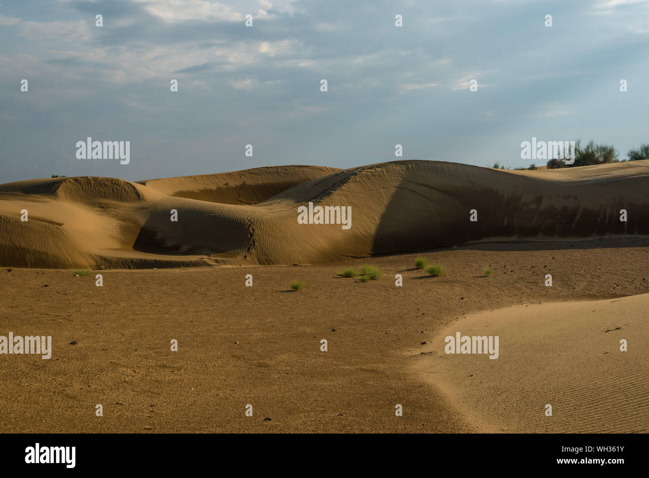 Dunes of Thar Desert. Sam Sand dunes, Rajasthan, India Stock Photo - Alamy