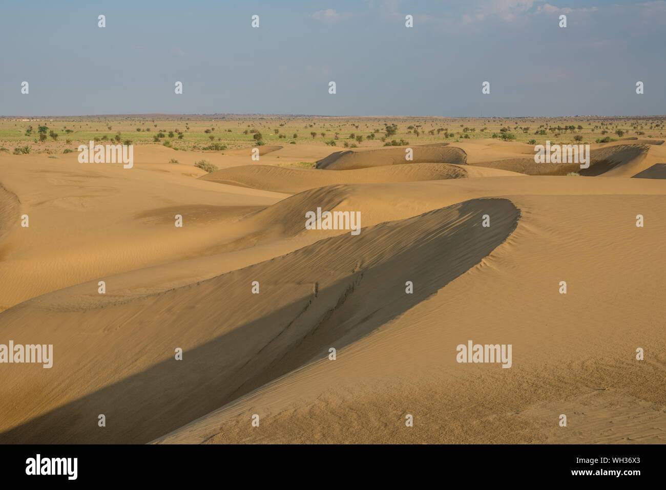 Dunes of Thar Desert. Sam Sand dunes, Rajasthan, India Stock Photo - Alamy