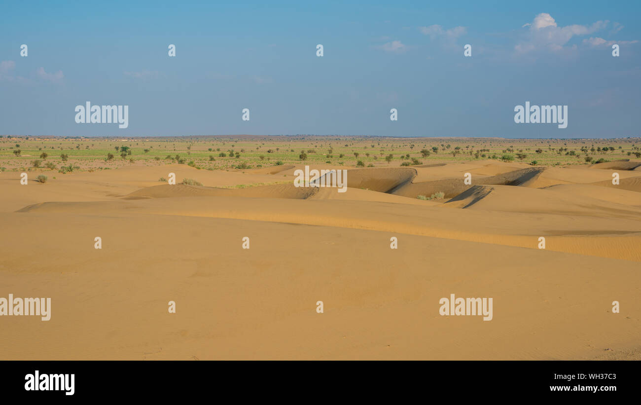 Dunes of Thar Desert. Sam Sand dunes, Rajasthan, India Stock Photo - Alamy
