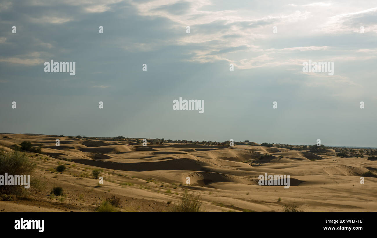 Dunes of Thar Desert. Sam Sand dunes, Rajasthan, India Stock Photo - Alamy