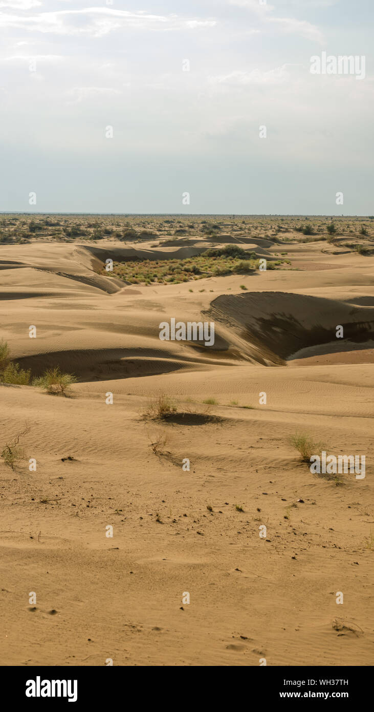 Dunes of Thar Desert. Sam Sand dunes, Rajasthan, India Stock Photo - Alamy