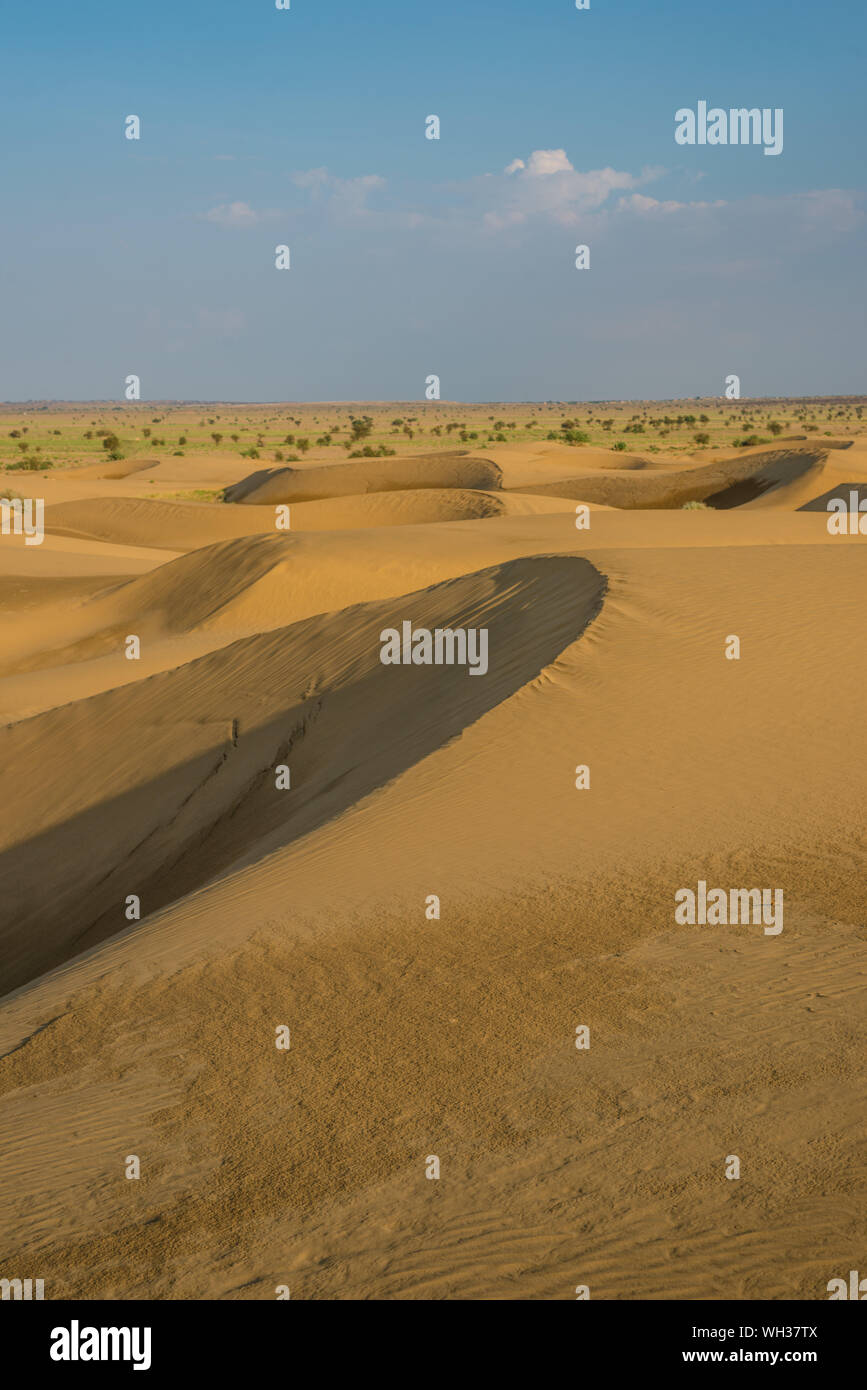 Dunes of Thar Desert. Sam Sand dunes, Rajasthan, India Stock Photo - Alamy