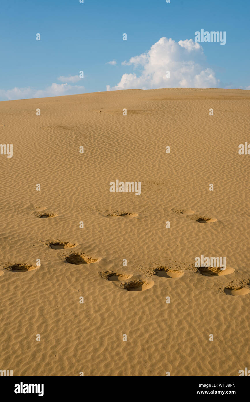 Dunes of Thar Desert. Sam Sand dunes, Rajasthan, India Stock Photo - Alamy