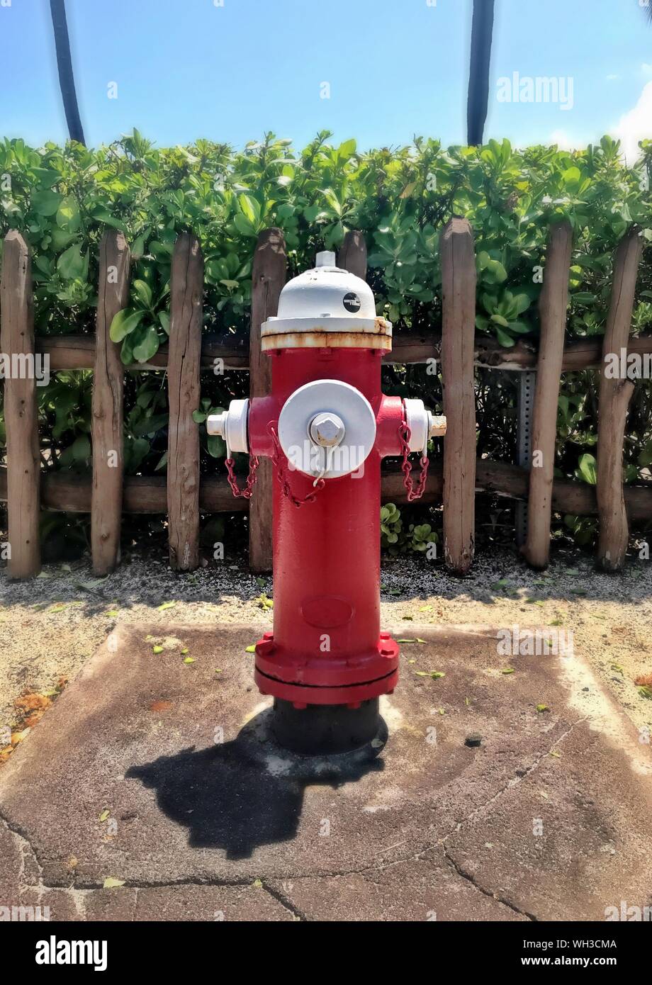 Day of fire hi-res stock photography and images - Alamy