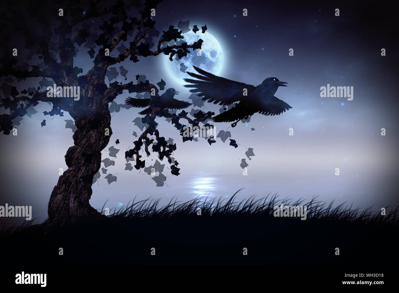 Gloomy ravens hi-res stock photography and images - Alamy
