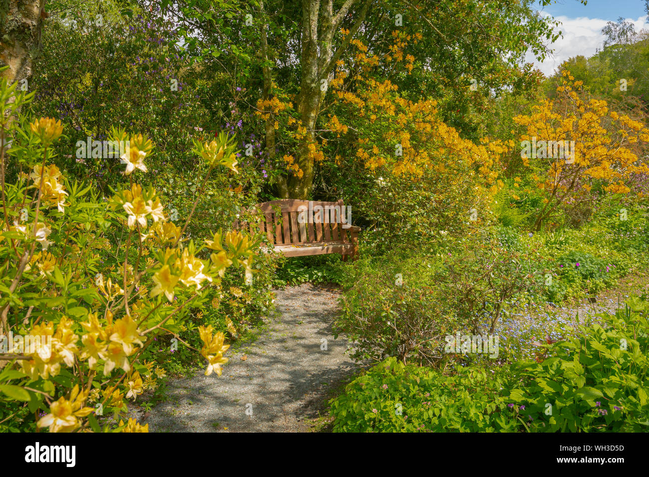 Garden bench set in nice secluded spot surrounded by shrubs and trees ...