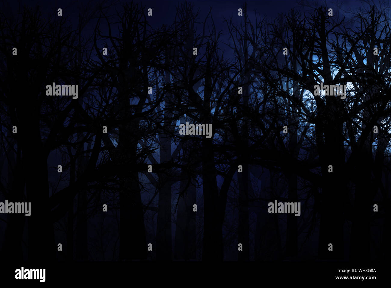 Dark scary midnight forest, halloween background Stock Photo - Alamy