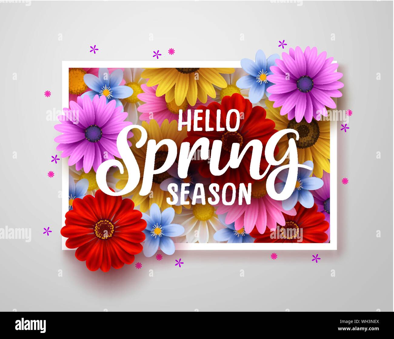 Zinnia flower illustration Stock Vector Images - Alamy