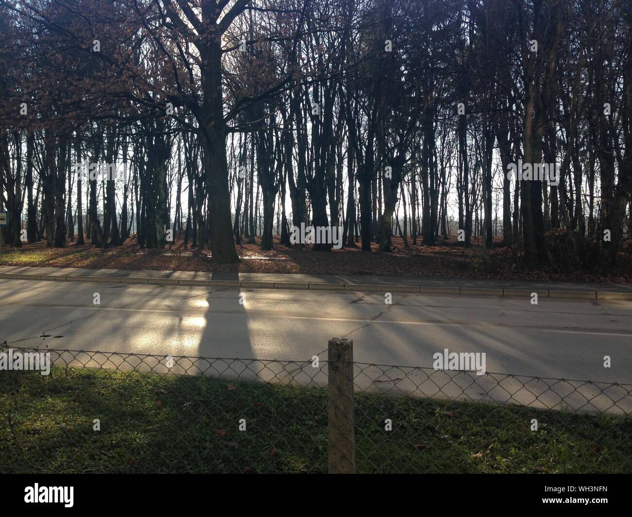 Road next to trees hi-res stock photography and images - Alamy