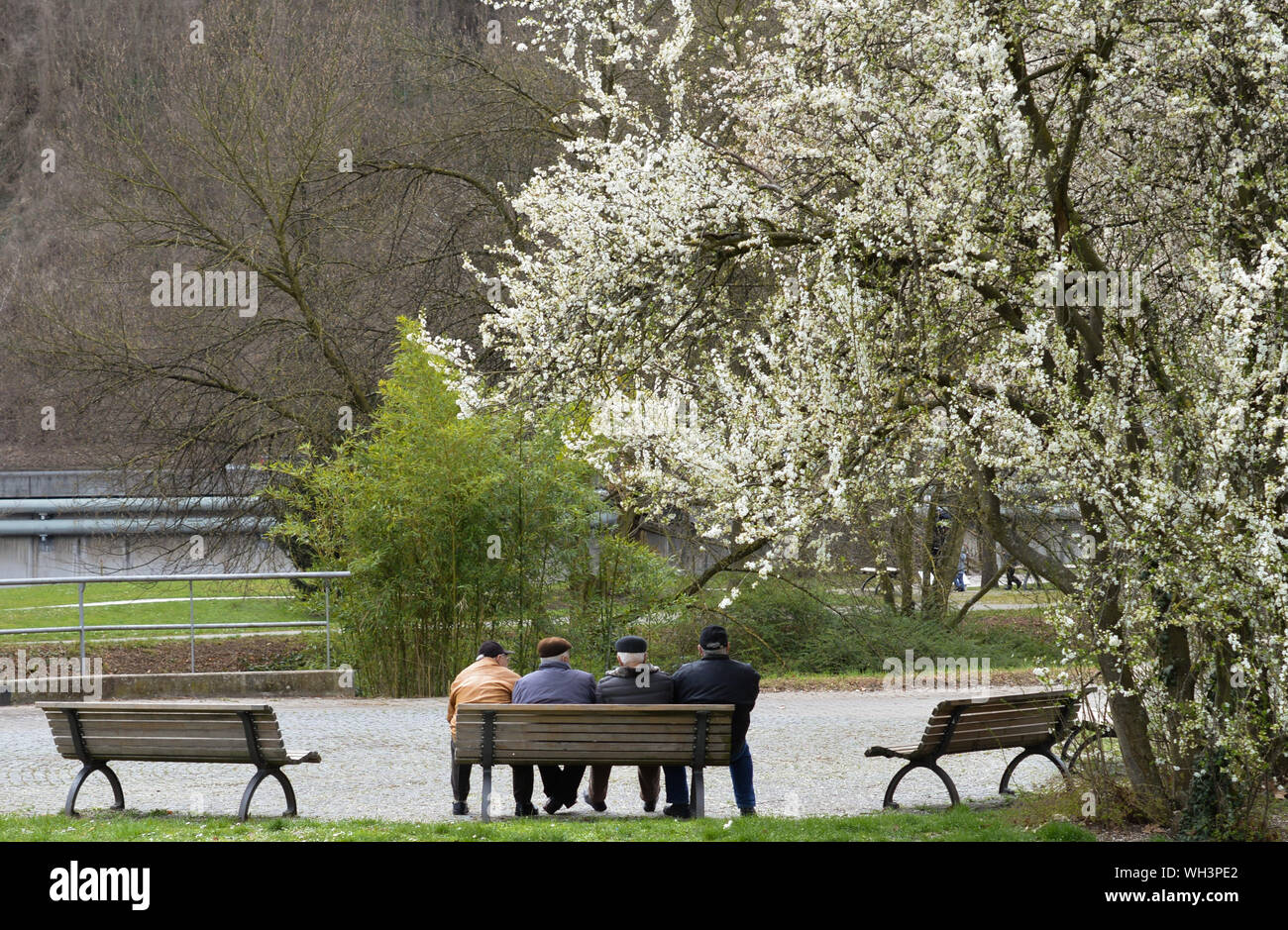 People Sitting On Bench In Park Stock Photo - Alamy