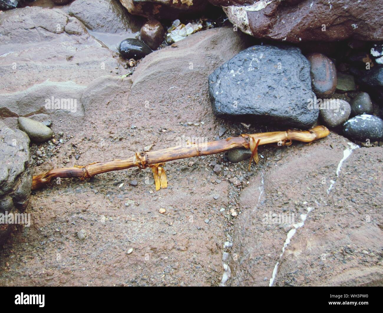 Rough stick hi-res stock photography and images - Alamy