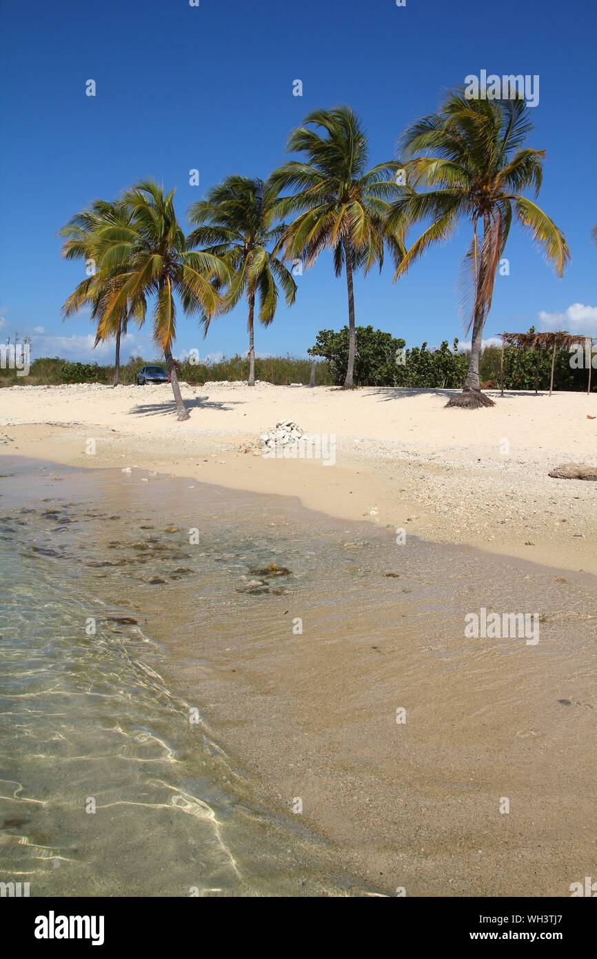Palm tree playa ancon hi-res stock photography and images - Alamy