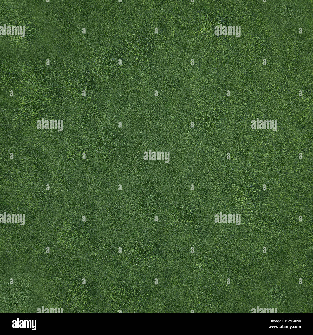 Field of soft grass, top view Stock Photo - Alamy