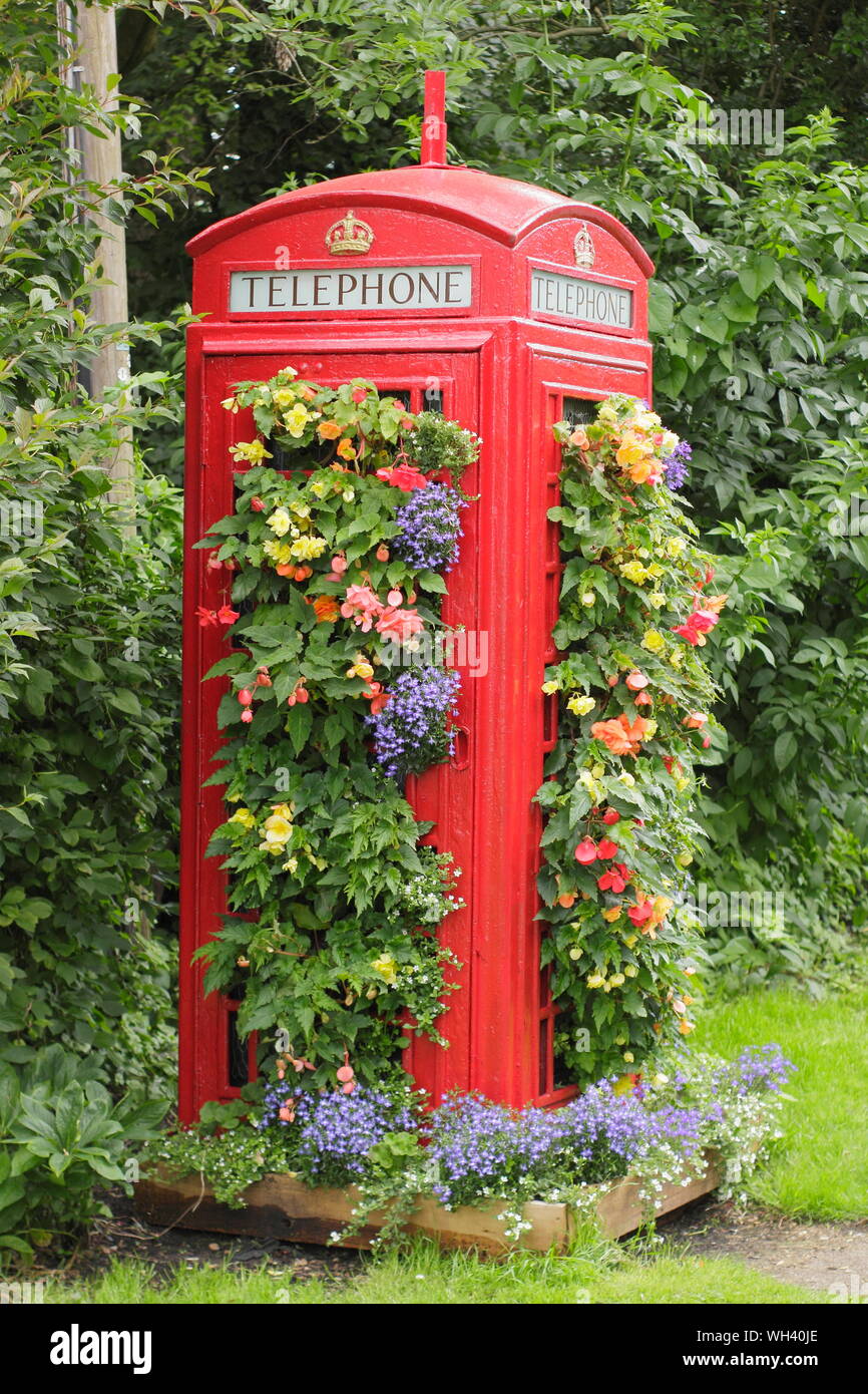 British telephone box converted into a vertical garden planted with ...