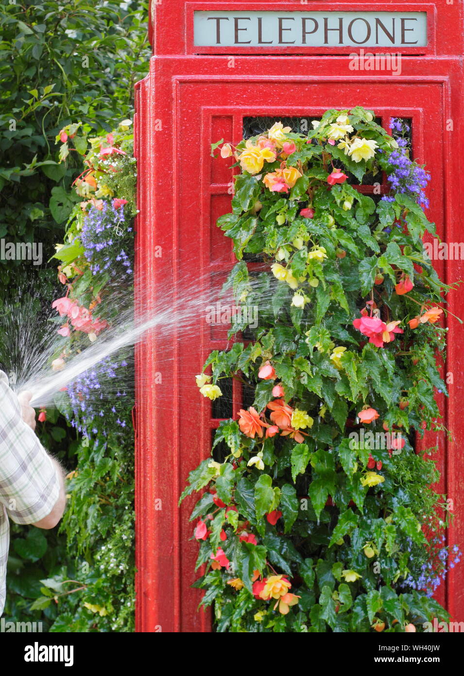 British telephone box converted into a vertical garden planted with ...