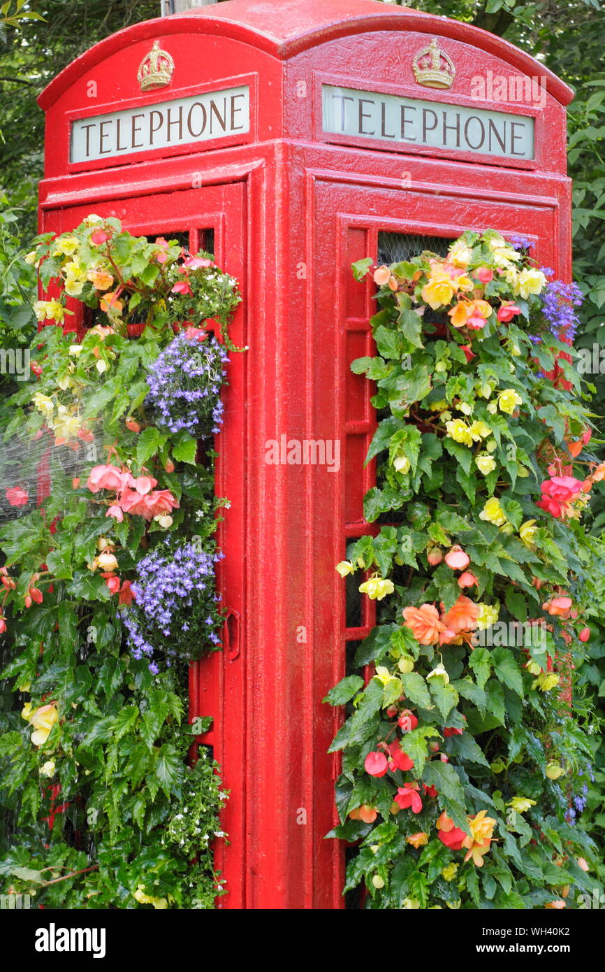 British telephone box converted into a vertical garden planted with ...
