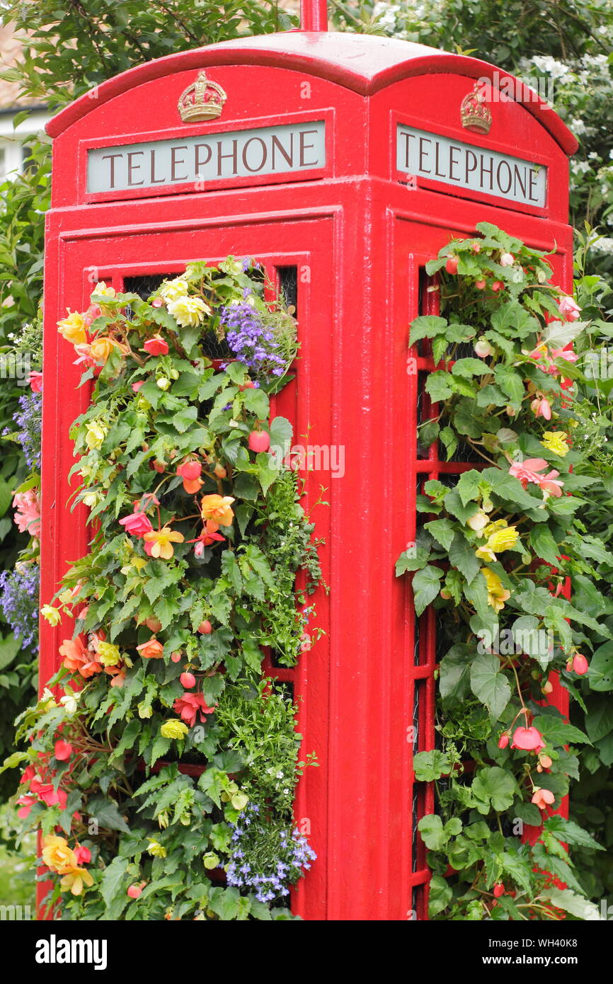 British telephone box converted into a vertical garden planted with ...