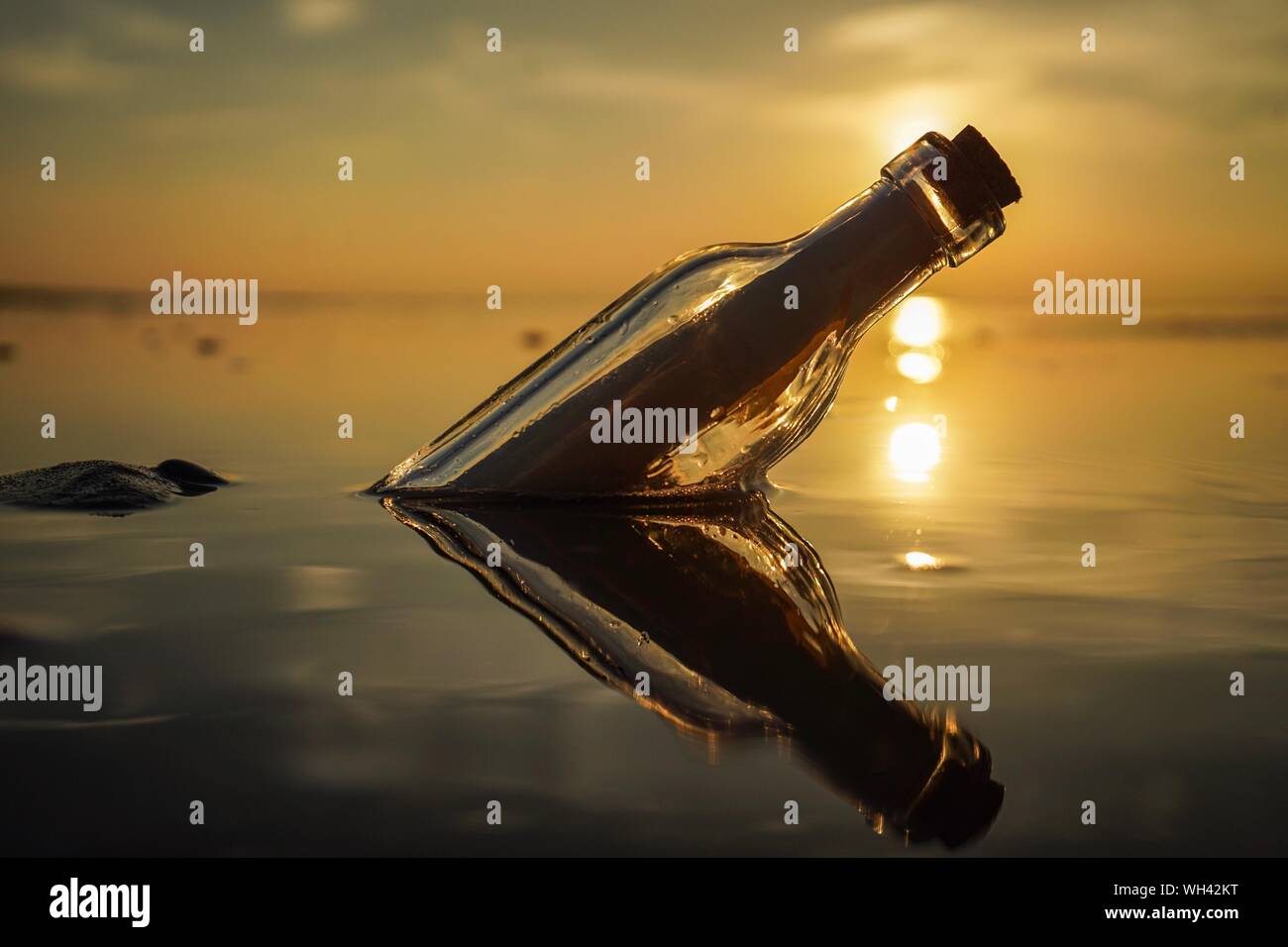 Floating on waters surface hi-res stock photography and images - Alamy